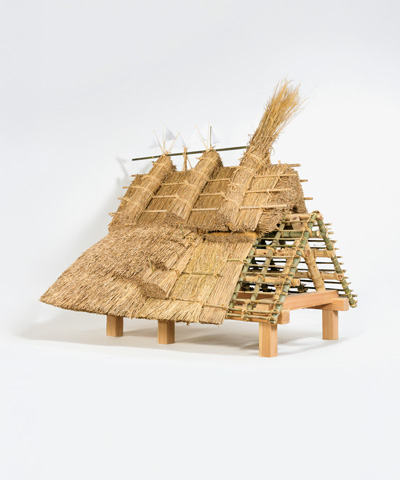 Plants and Crafts in the Cycles of Life | National Museum of Nature and ...